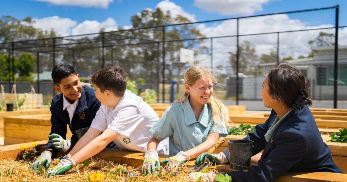 Performance Reports | About Sunrise | Sunrise Christian School